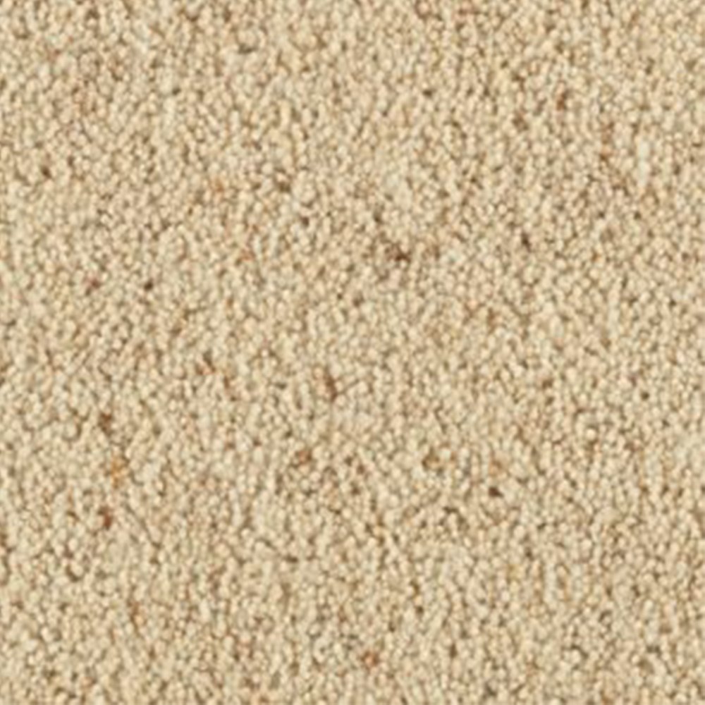 Carlton Twist In Shortbread Carpet | Aldiss of Norfolk