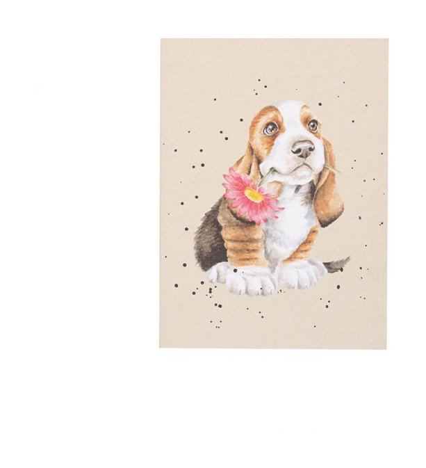 Wrendale | Just For You Basset Hound A6 Notebook | Aldiss of Norfolk