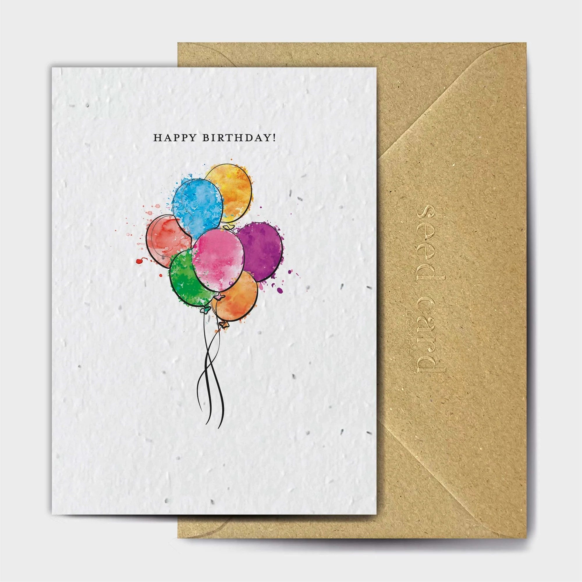 The Seed Card Co | Big Bang Theory Birthday Card | Aldiss