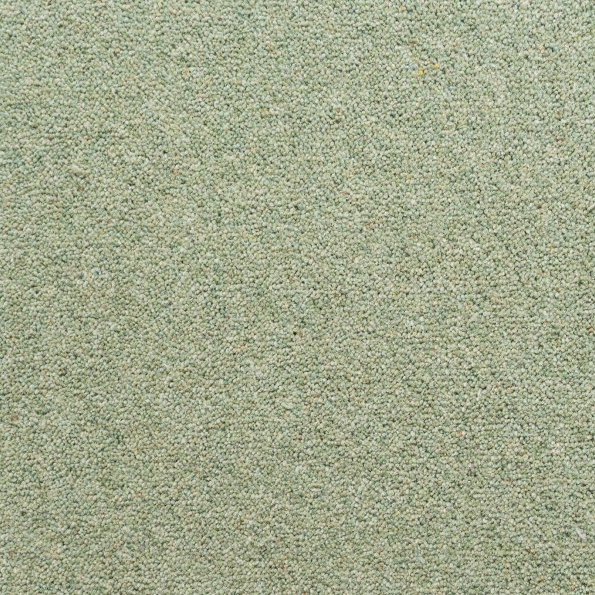 Aldiss Seasons Yuletide | Aldiss of Norfolk