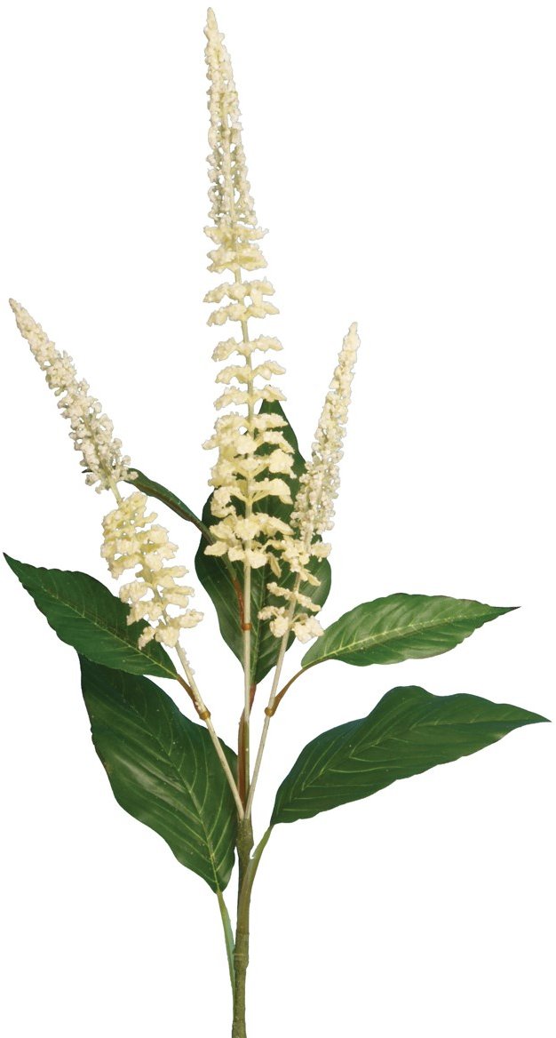 Floralsilk | Ivory Buddleia | Aldiss of Norfolk