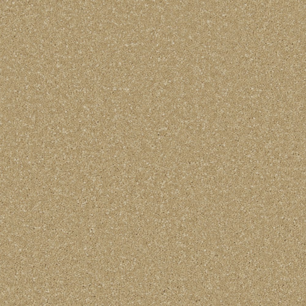 Zenith carpet in Sandy Bay | Aldiss of Norfolk