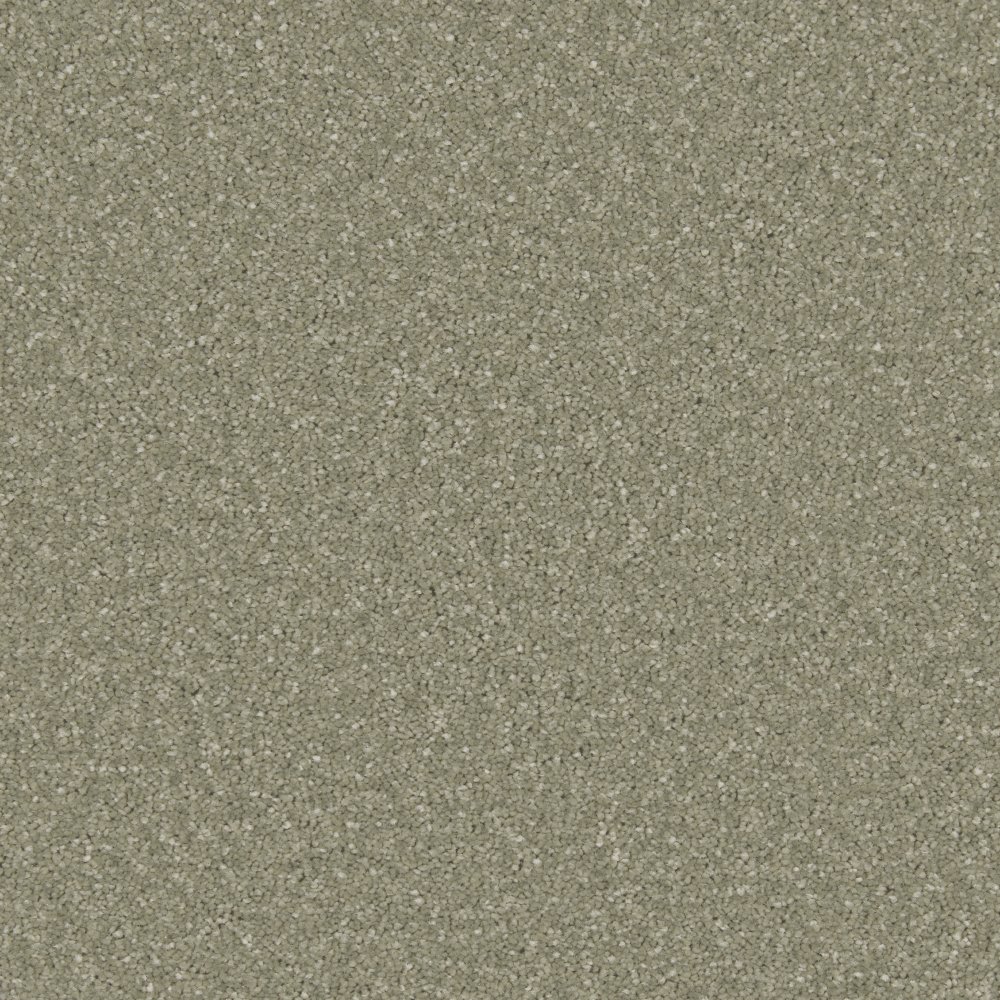 Zenith carpet in Tuscan Olive | Aldiss of Norfolk