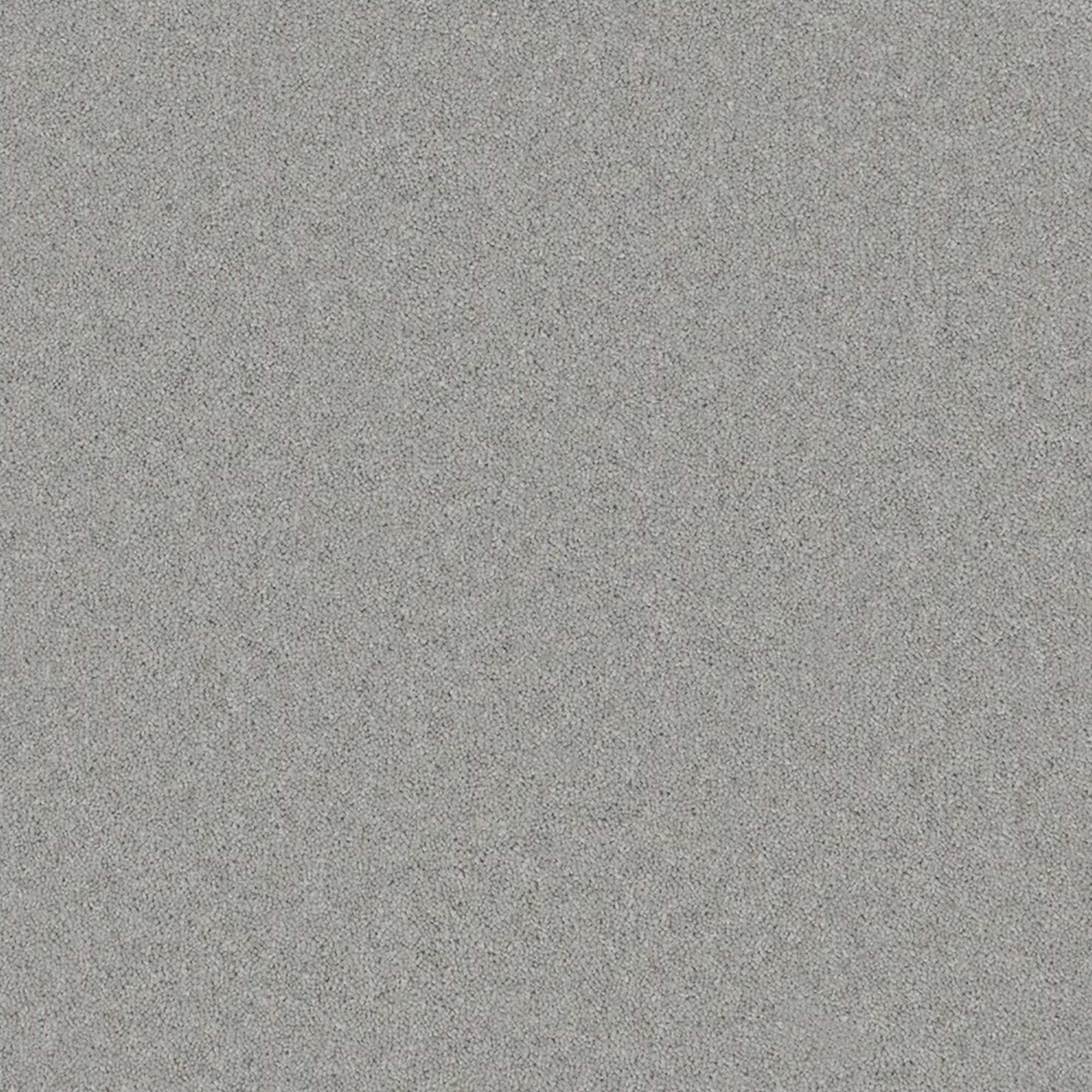 Timeless Deluxe Carpet in Cool Chrome | Aldiss of Norfolk