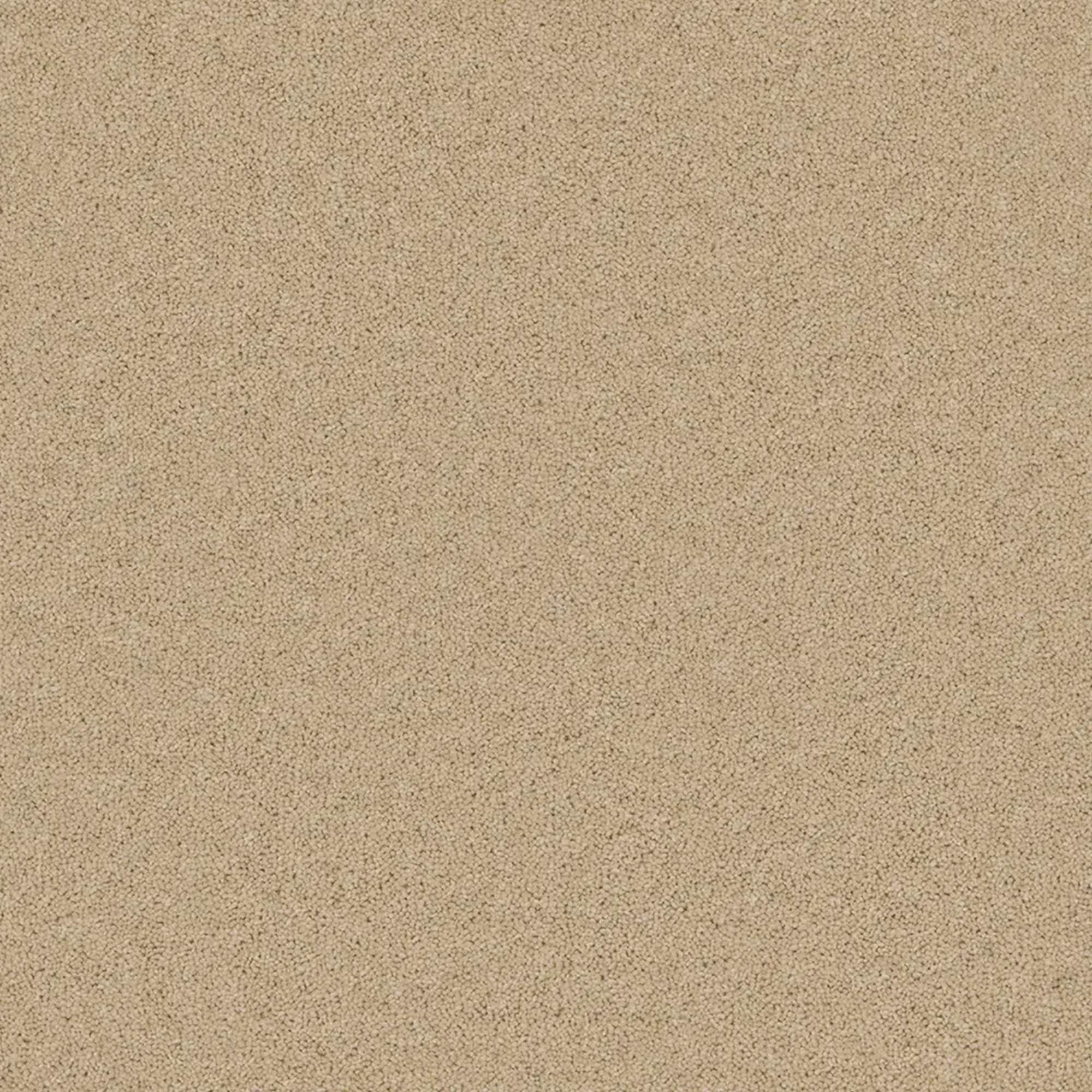 Timeless Deluxe Carpet in Light Lace | Aldiss of Norfolk