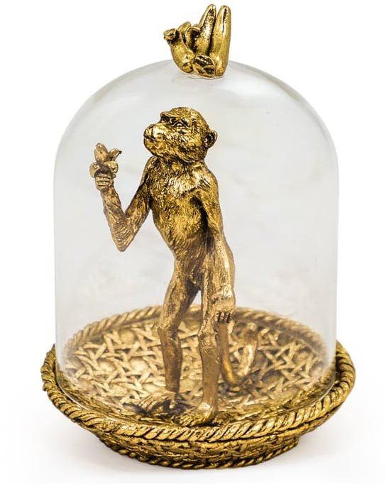 McGowan Golden Monkey in Glass Dome | Aldiss of Norfolk