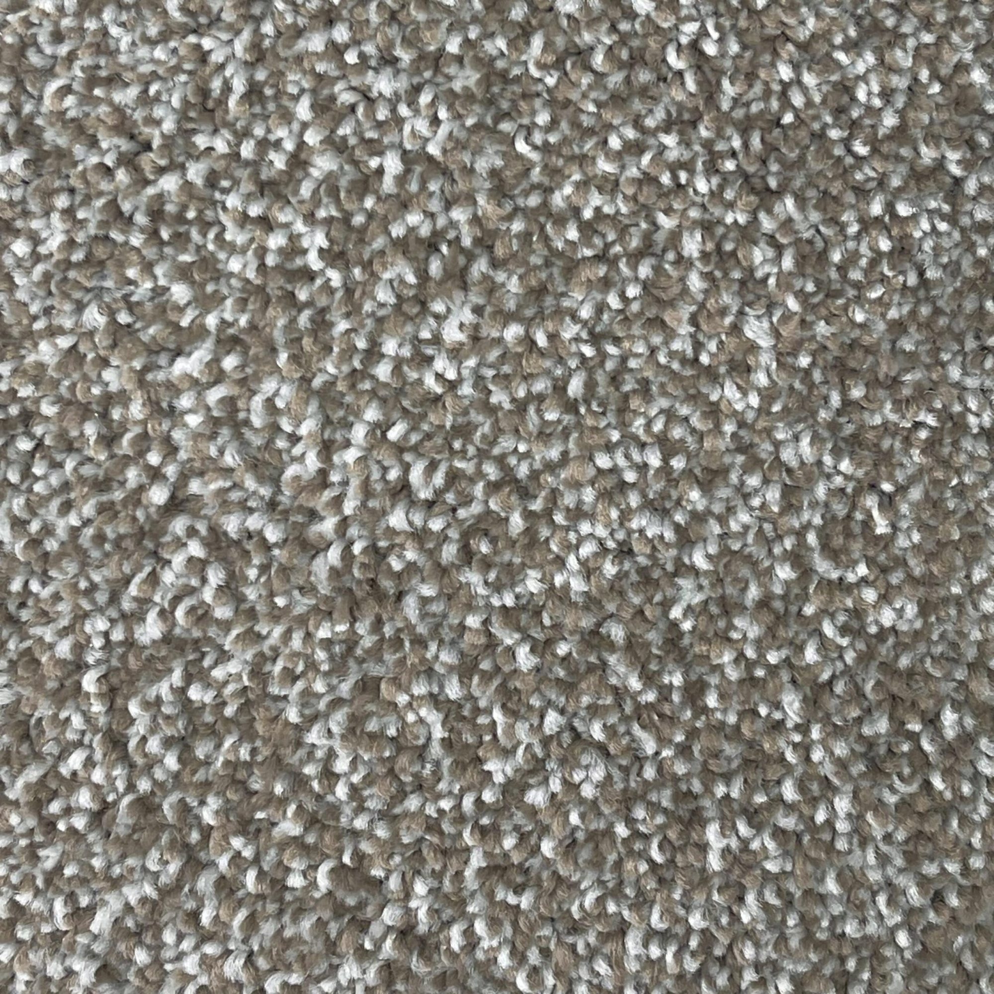 Accra Carpet in Shaker Biege | Aldiss of Norfolk